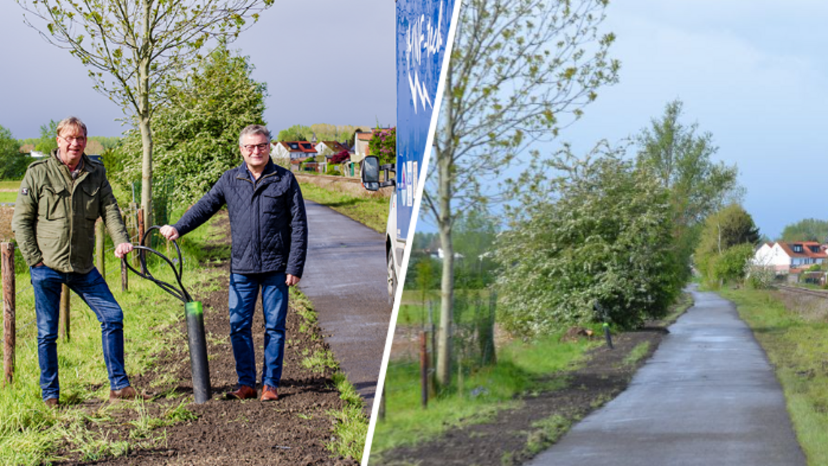 Openbare verlichting langs fietspad tussen Sint-Amands en Puurs | GVA